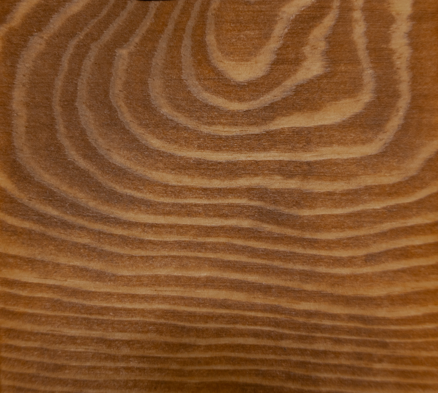 Colorante para Madera | Colorante para Madera Decorativa de Primera ...